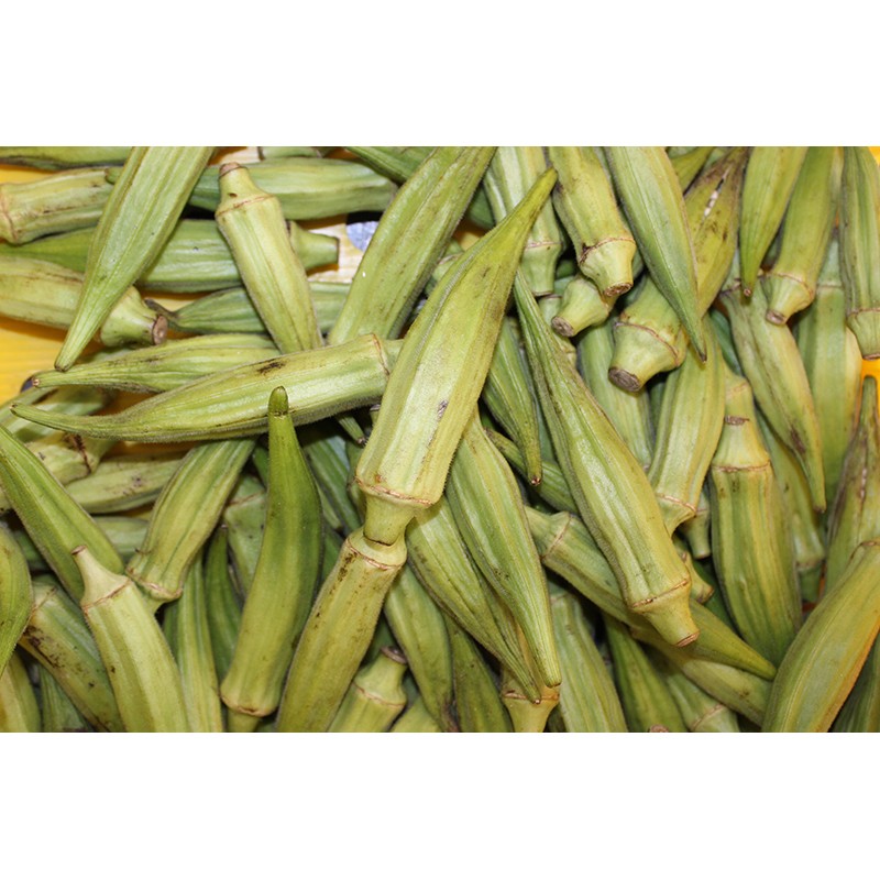 Gombo frais